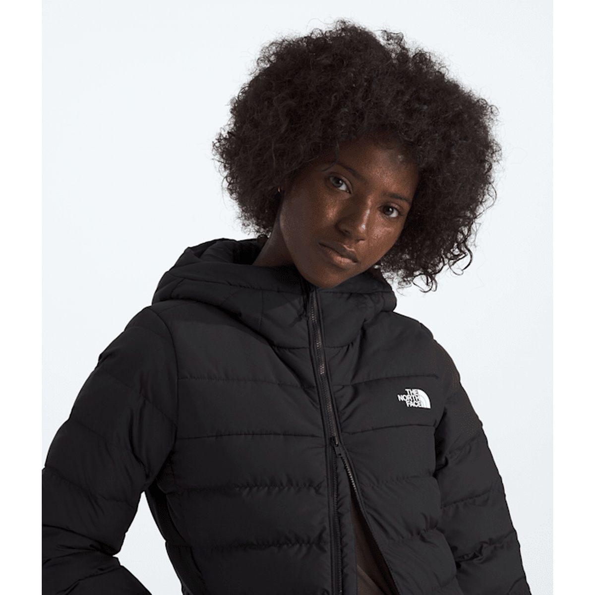 North Face Women's Aconcagua Parka