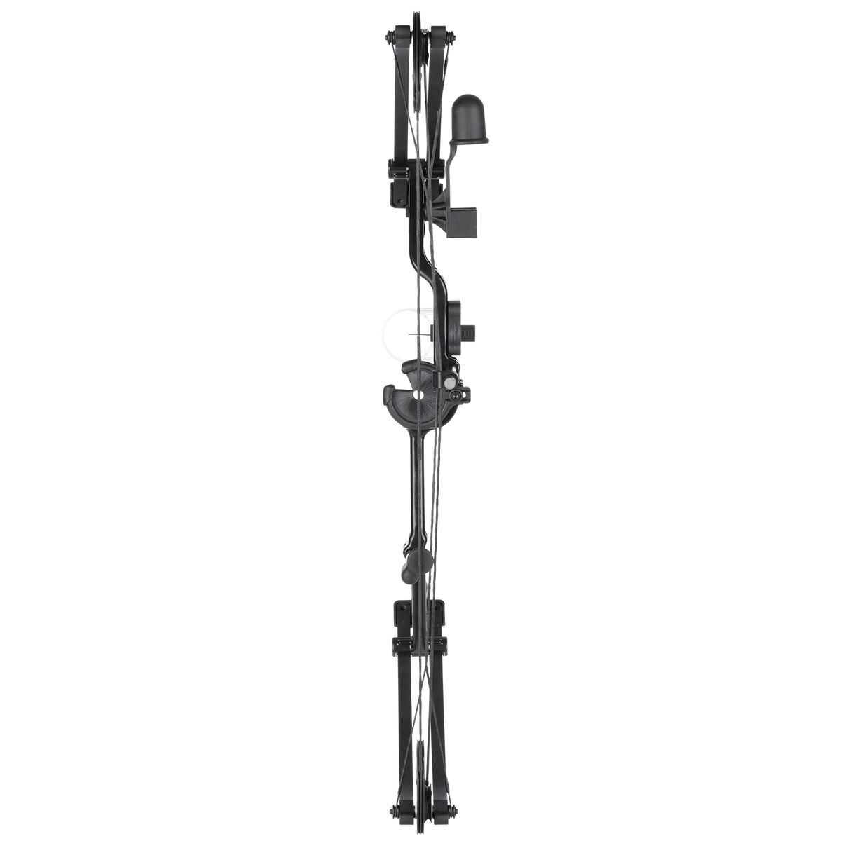 Bear Pathfinder Youth Compound Bow